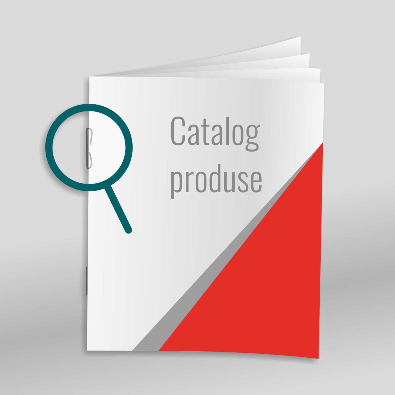 Capsare - Plot Graphic&Design